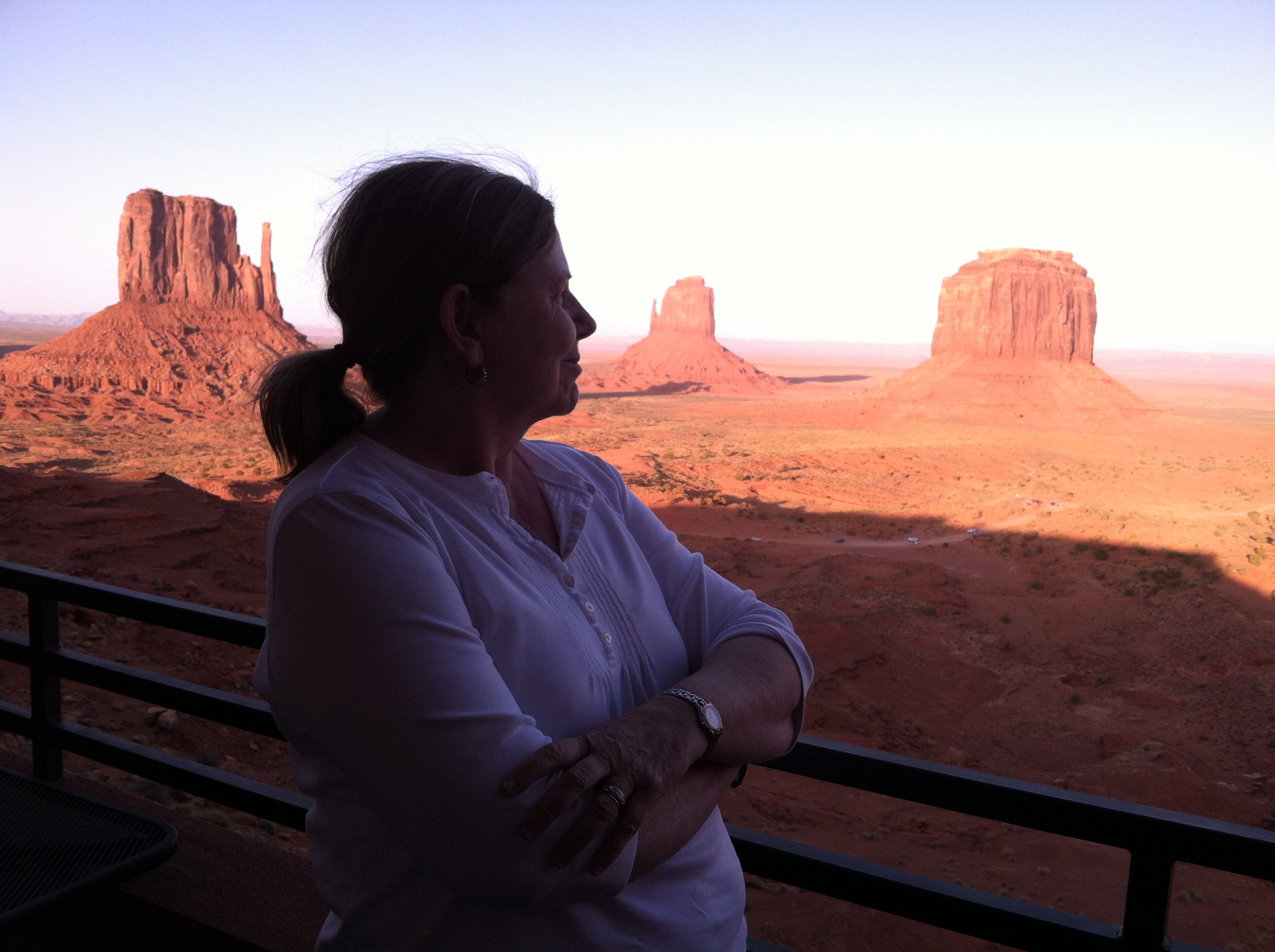 IVWS Officer Profile: Marcia James (incoming Secretary-Treasurer) – IVWS